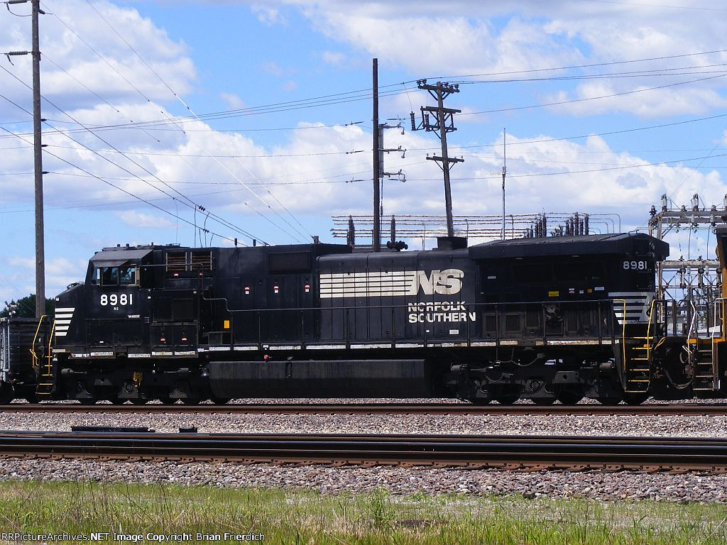 NS 8981